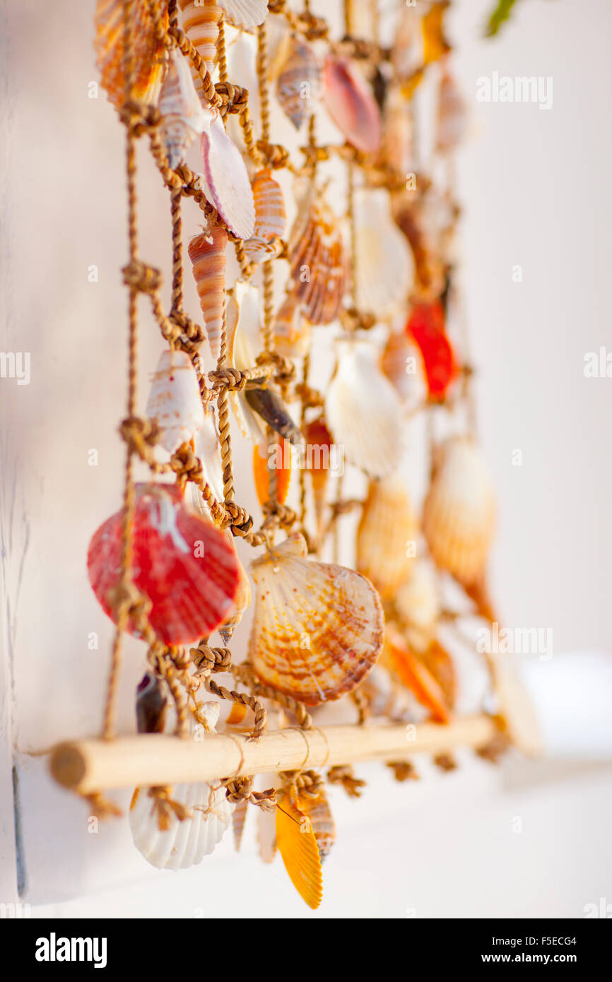 String of shells hi-res stock photography and images - Alamy