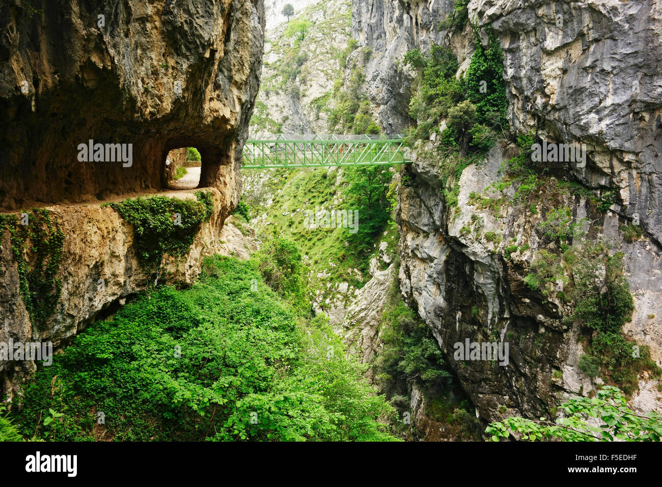 Footpath through Desfiladero del Rio Cares, Picos de Europa, Parque ...