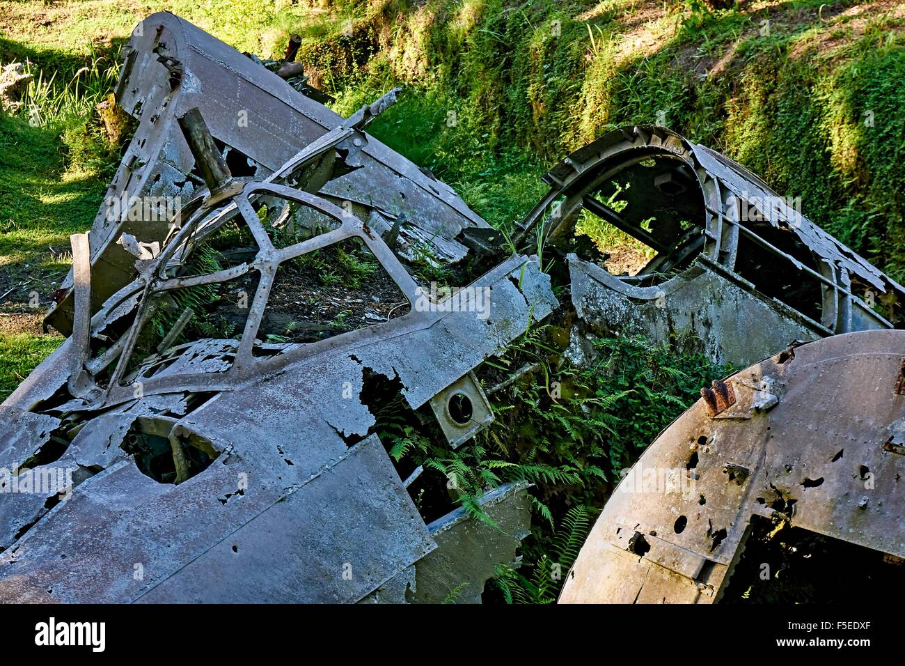 WW2 Japanese aircraft wreckage scattered among the palm trees Rabaul ...