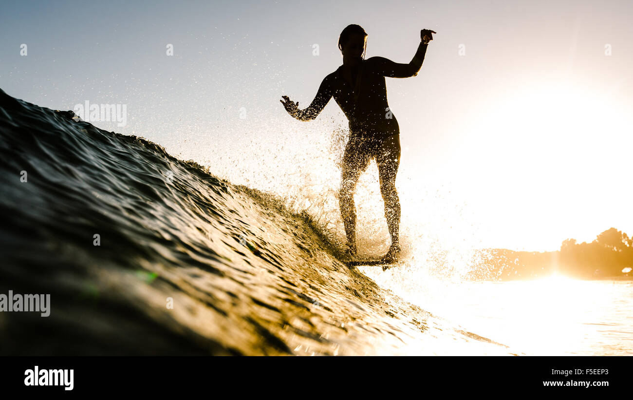 Woman surfing at sunset, Malibu, California, USA Stock Photo - Alamy