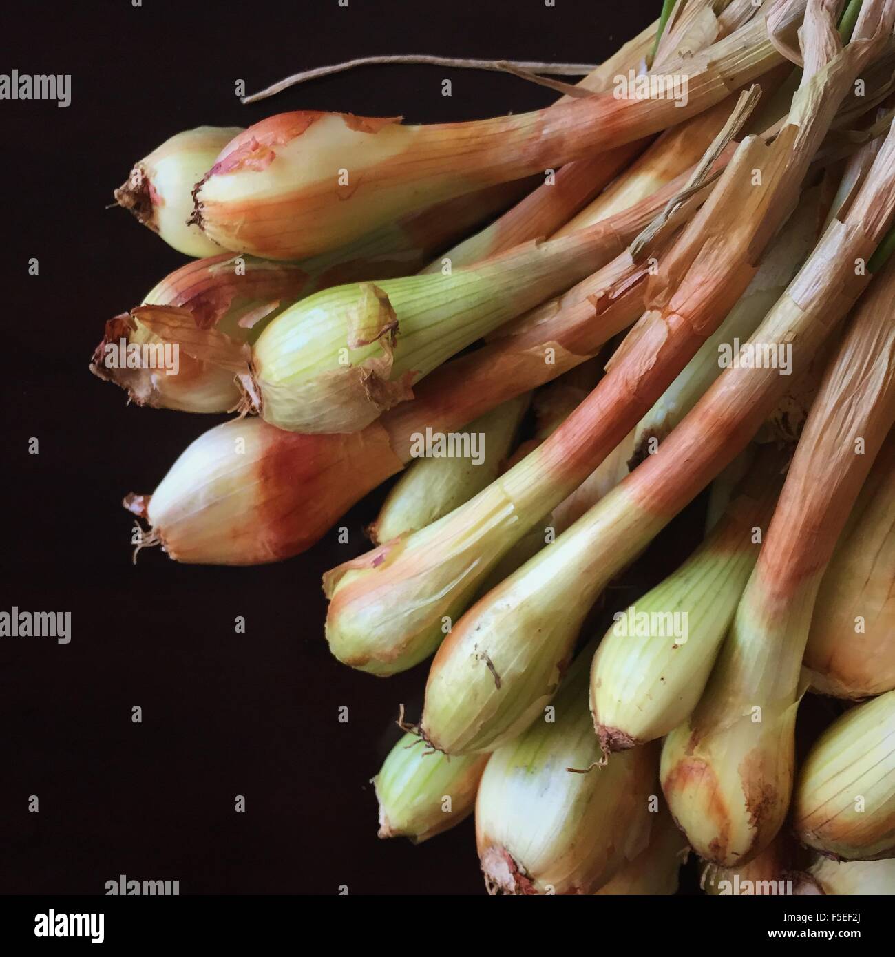 Freshly picked shallots on black background Stock Photo - Alamy
