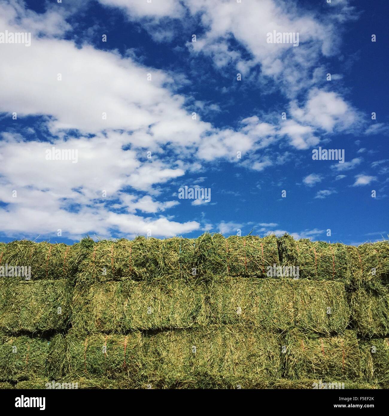 Stack hay bales hi-res stock photography and images - Alamy