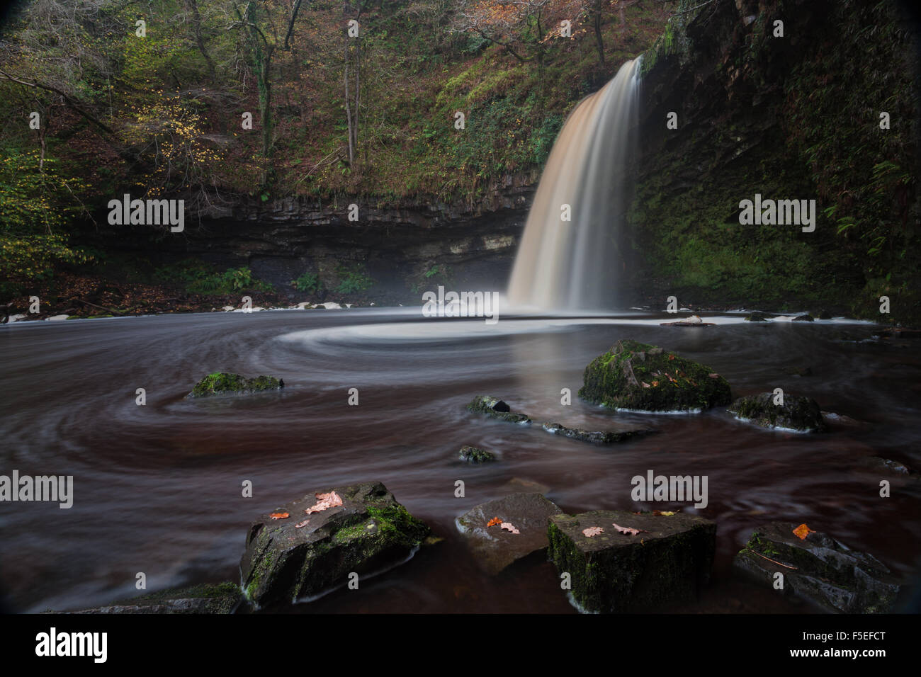 Lady Falls Sgwd Gwladus waterfall Stock Photo - Alamy