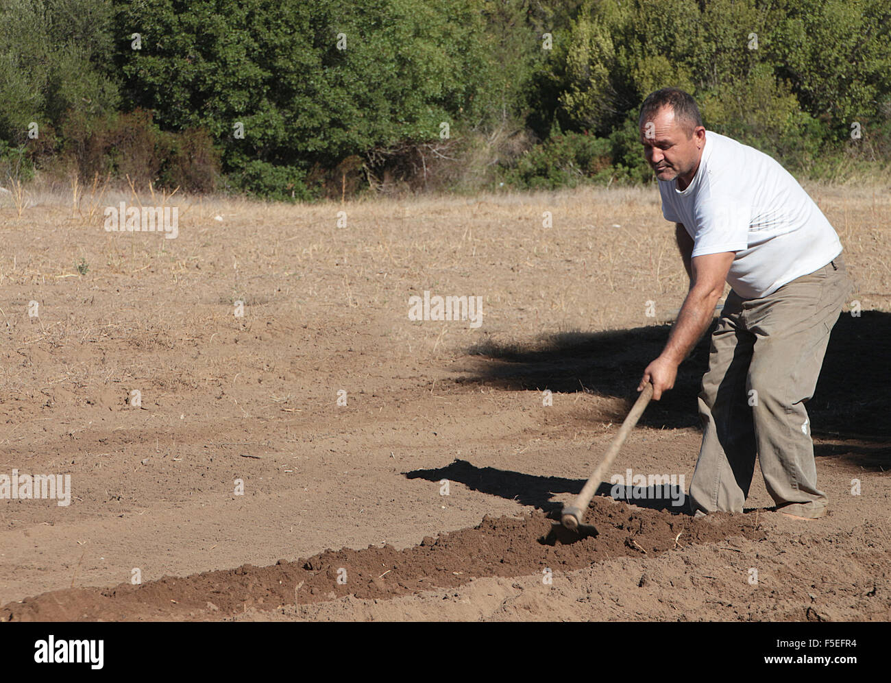 Hoe garden hi-res stock photography and images - Alamy