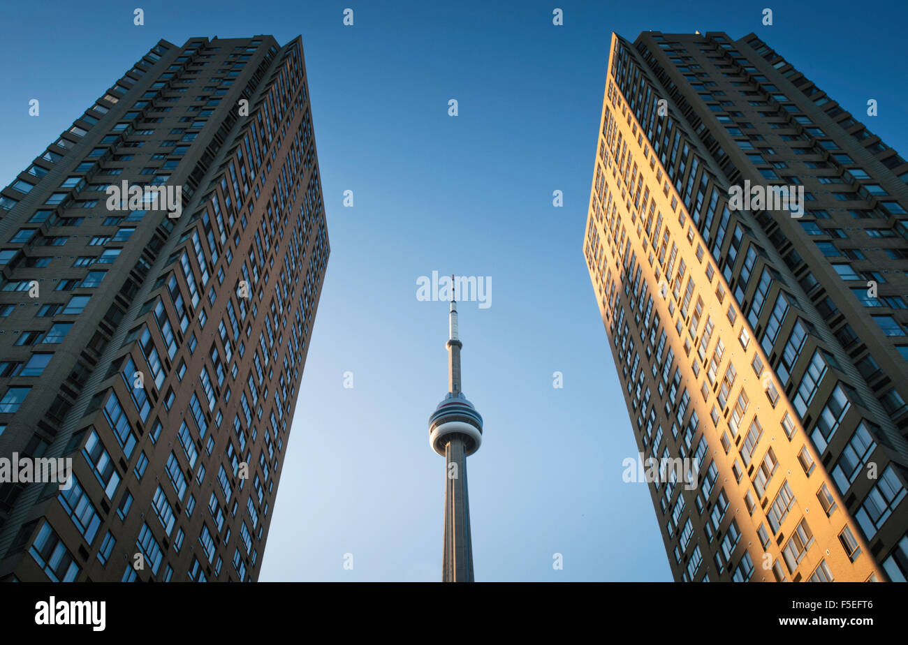 Low angle view of CN Tower framed between two skyscrapers, Toronto ...