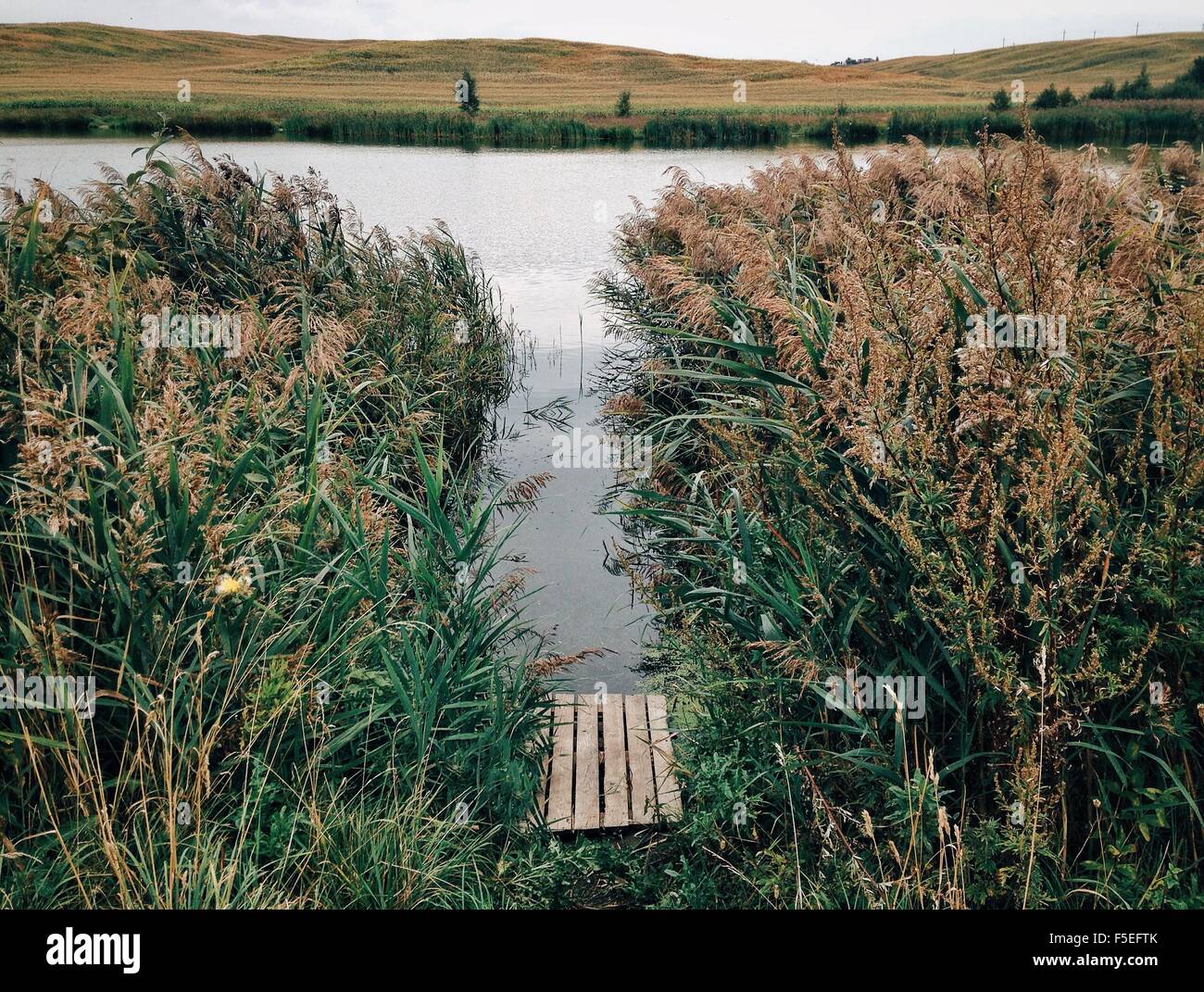 Along riverbank hi-res stock photography and images - Alamy