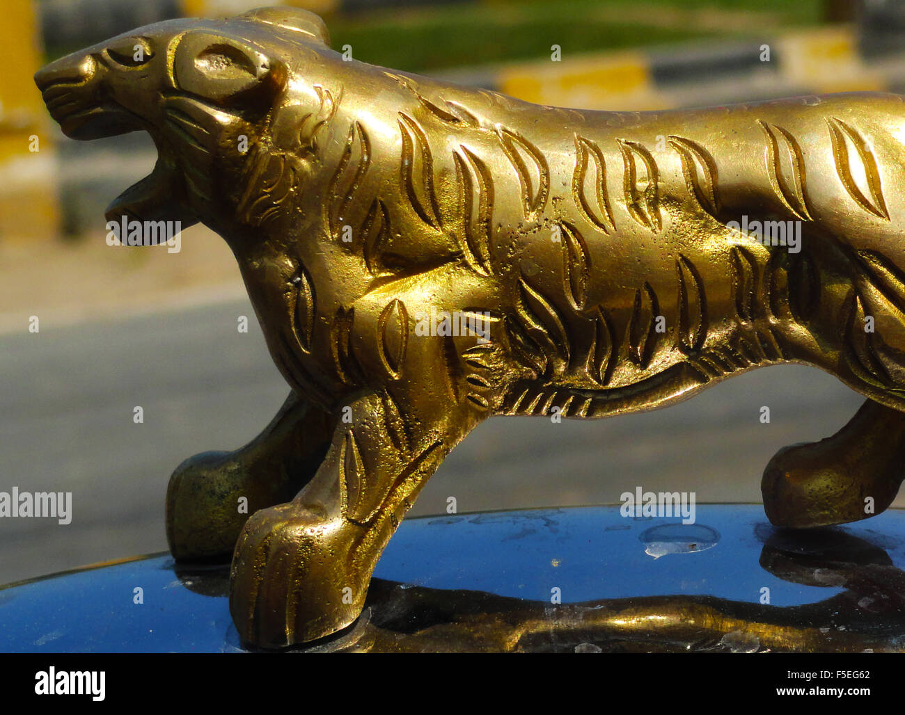 Metal Tiger Characteristics at Elizabeth Simson blog