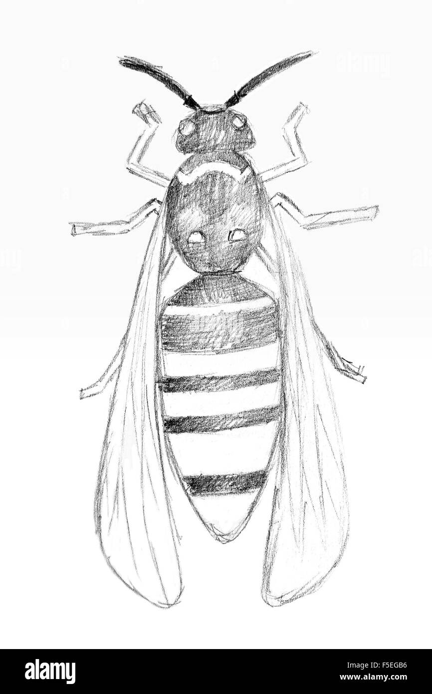 Hand study drawing Cut Out Stock Images & Pictures - Alamy