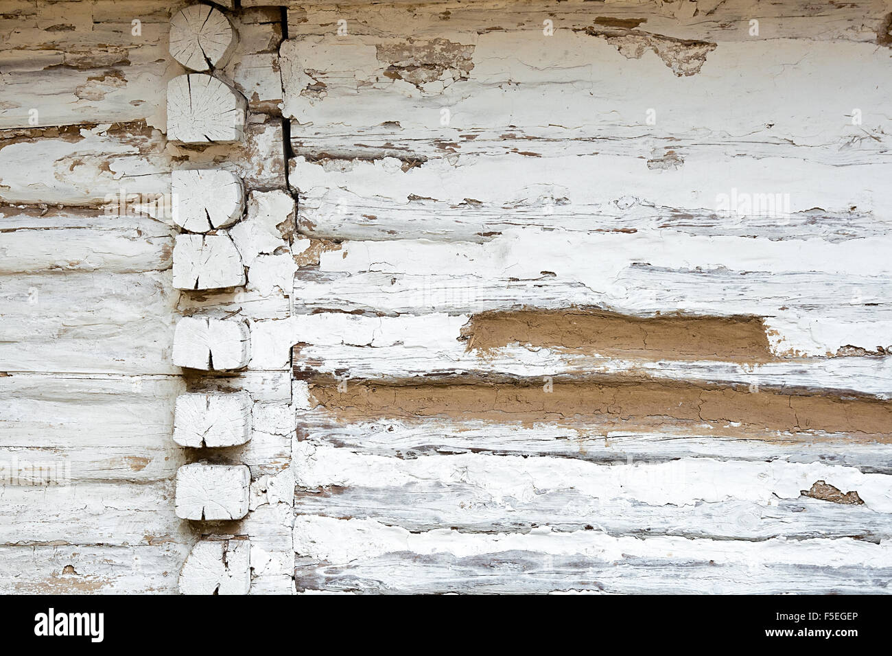 Vintage background texture. Wooden wall of old rural house from logs ...