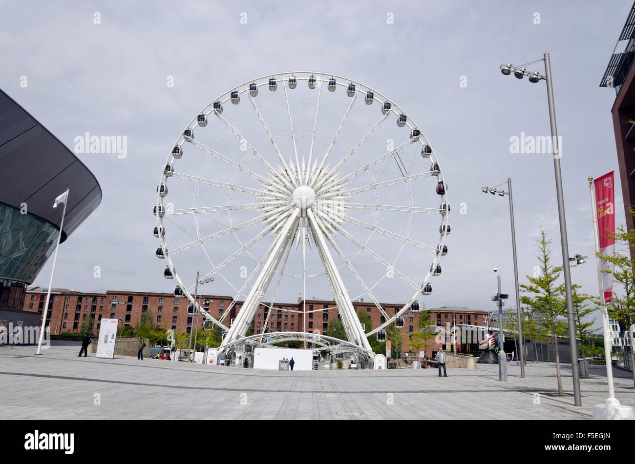 Rex wheel hi-res stock photography and images - Alamy