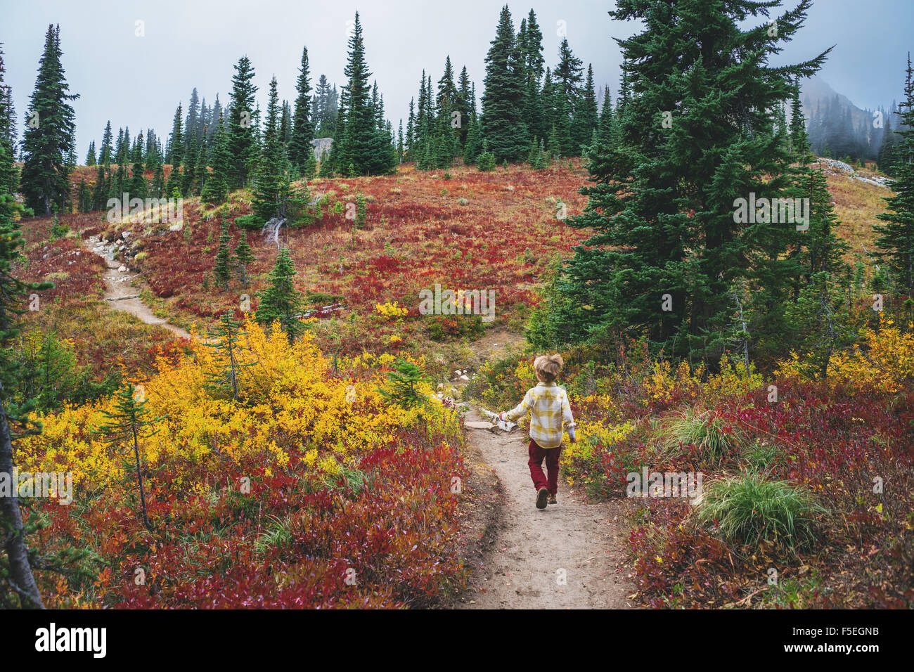 Boy running hi-res stock photography and images - Alamy