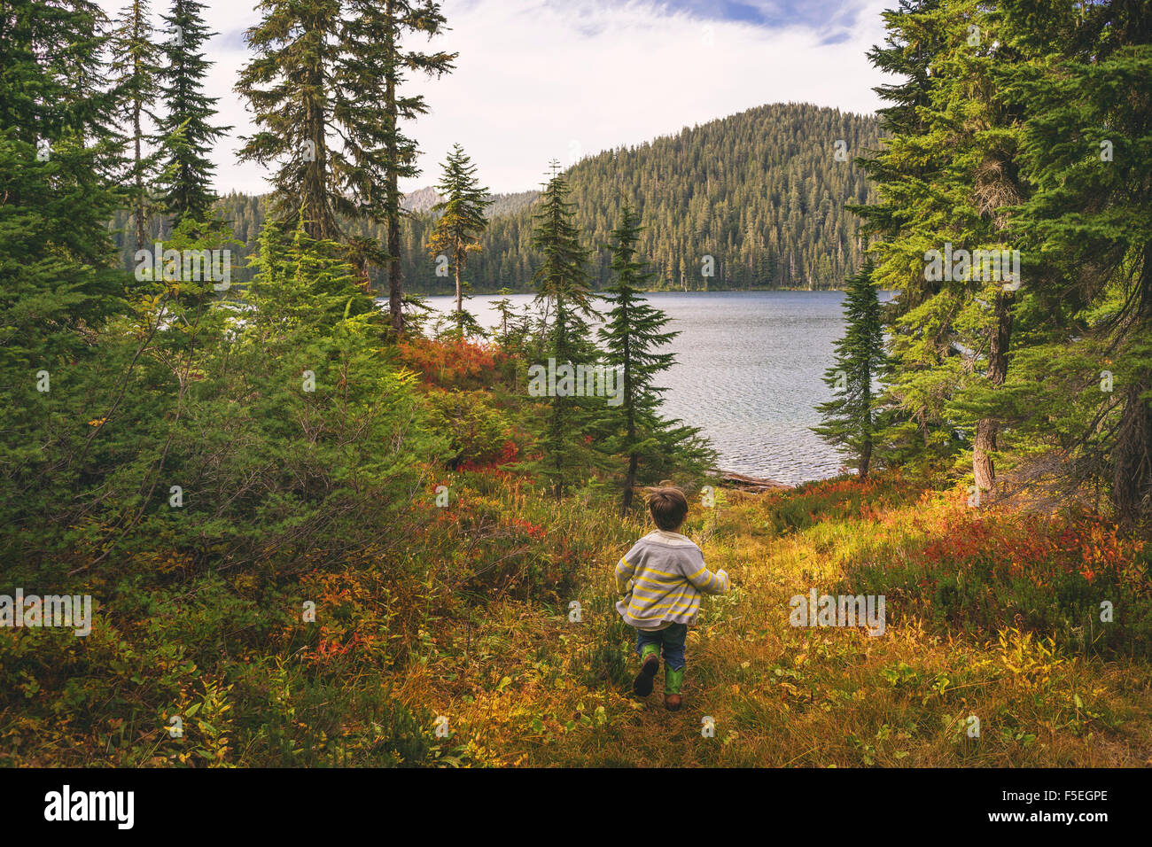 Boy running through forest towards lake Stock Photo - Alamy