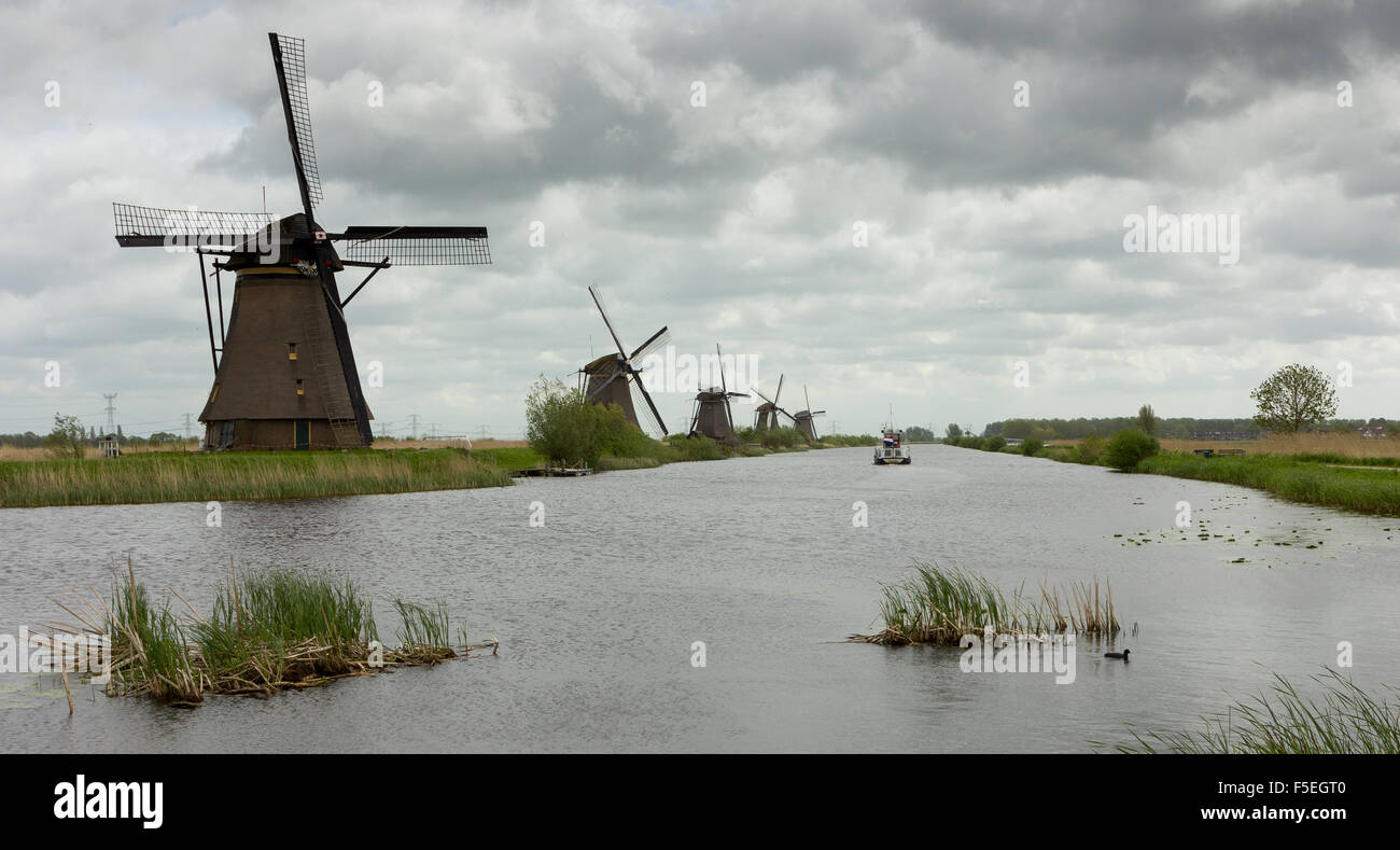 Traditional windmills along a river, Kinderdisk, Netherlands Stock ...