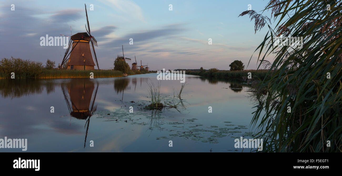 Traditional windmills at sunset, Kinderdisk, Netherlands Stock Photo ...