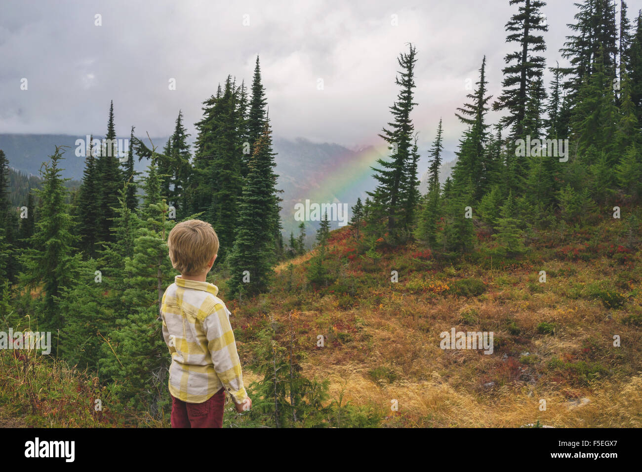 Child looking at a view hi-res stock photography and images - Alamy