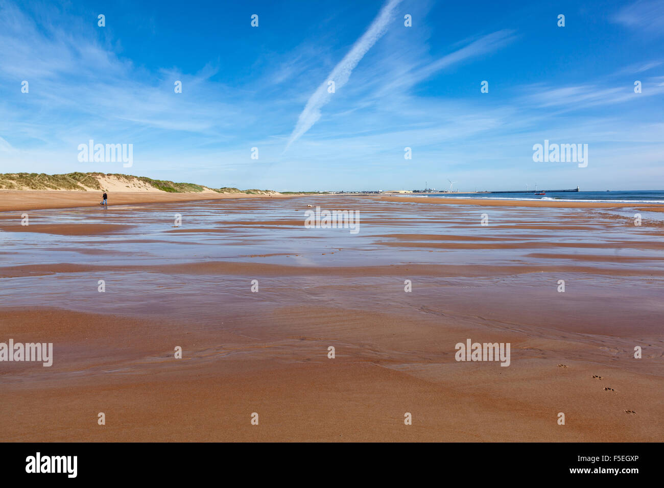 Blyth beach northumberland dog hi-res stock photography and images - Alamy
