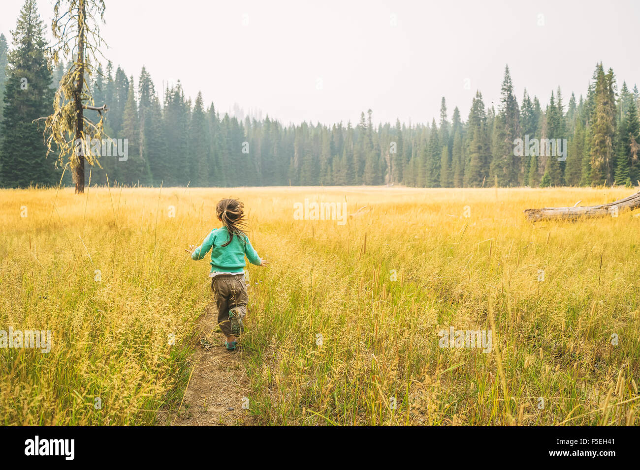 Children running track hi-res stock photography and images - Alamy