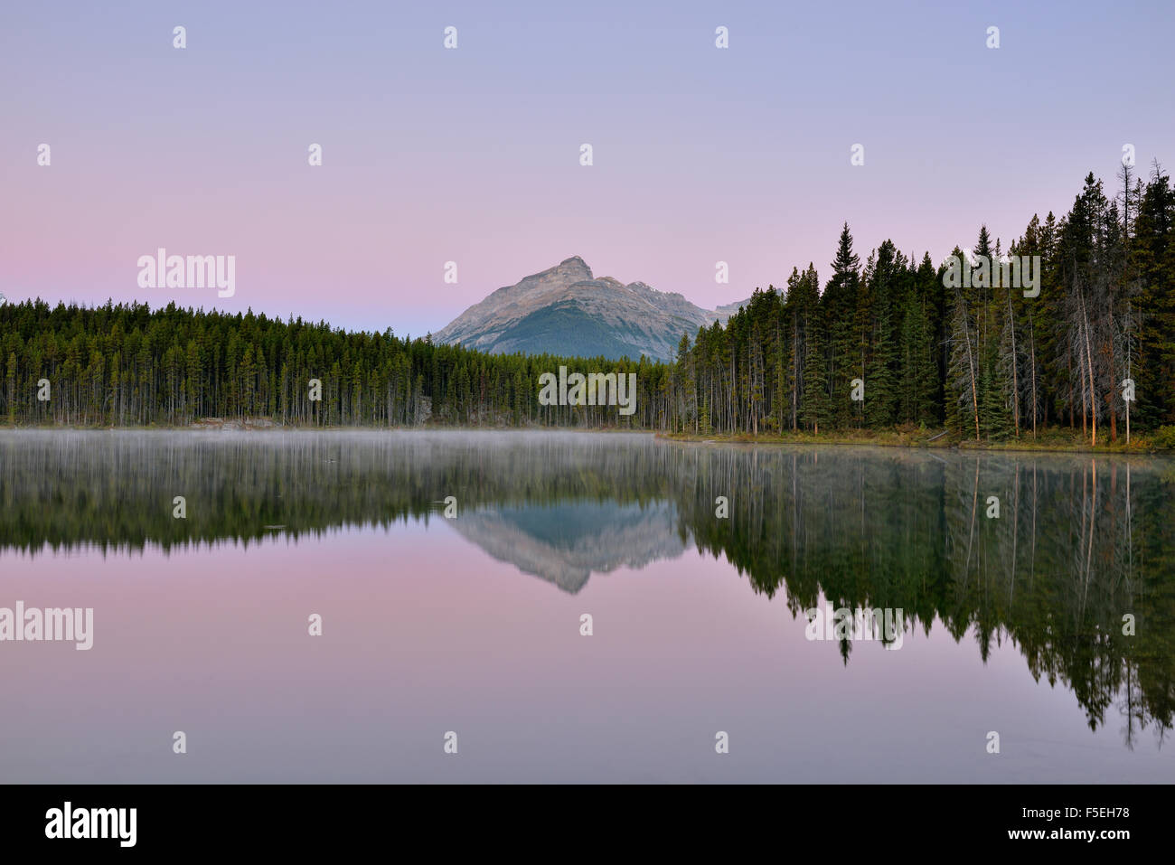 Dawn at Herbert Lake, Banff National Park, Alberta, Canada Stock Photo ...