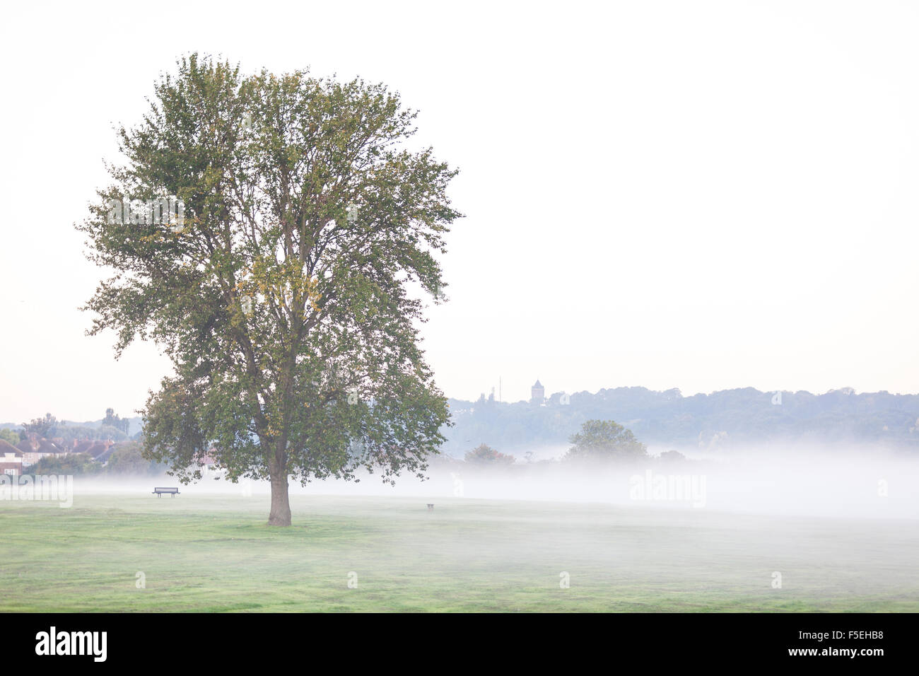 Wickham united kingdom hi-res stock photography and images - Alamy