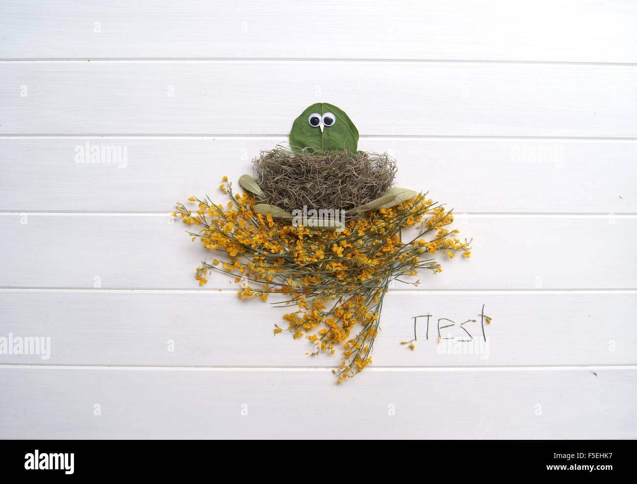 Conceptual Bird in a nest made from leaves and flowers Stock Photo - Alamy