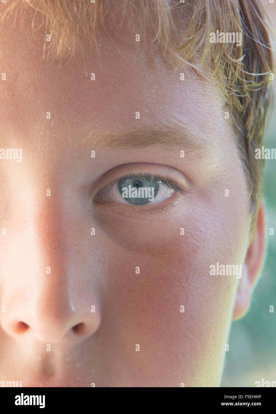 Close-up portrait of a boy Stock Photo - Alamy