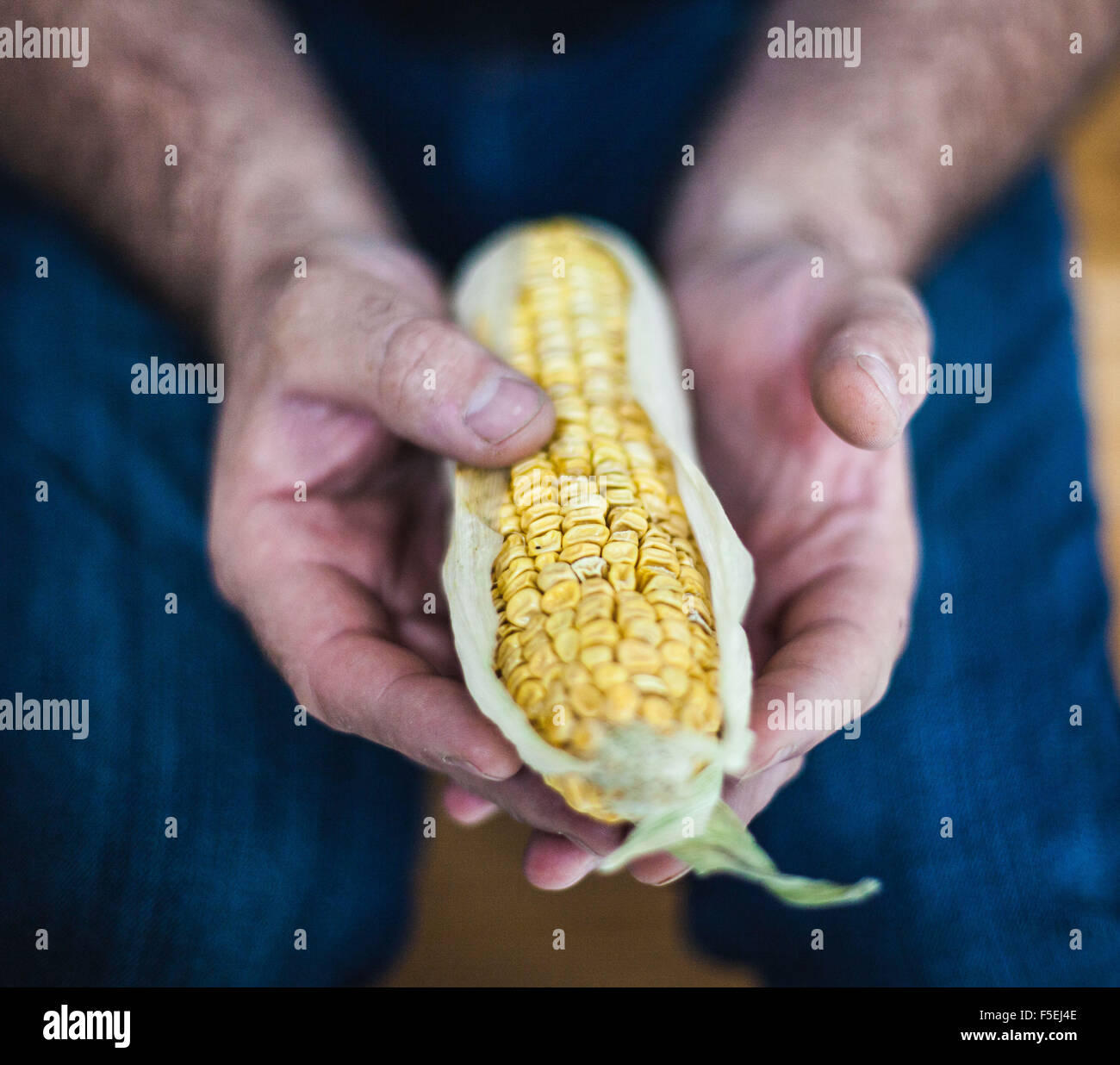 Man Eating Corn On The Cob Stock Photos & Man Eating Corn On The Cob ...