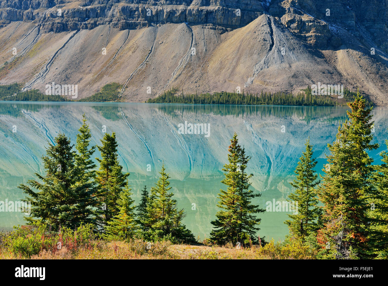 Reflections in Bow Lake, Banff National Park, Alberta, Canada Stock ...