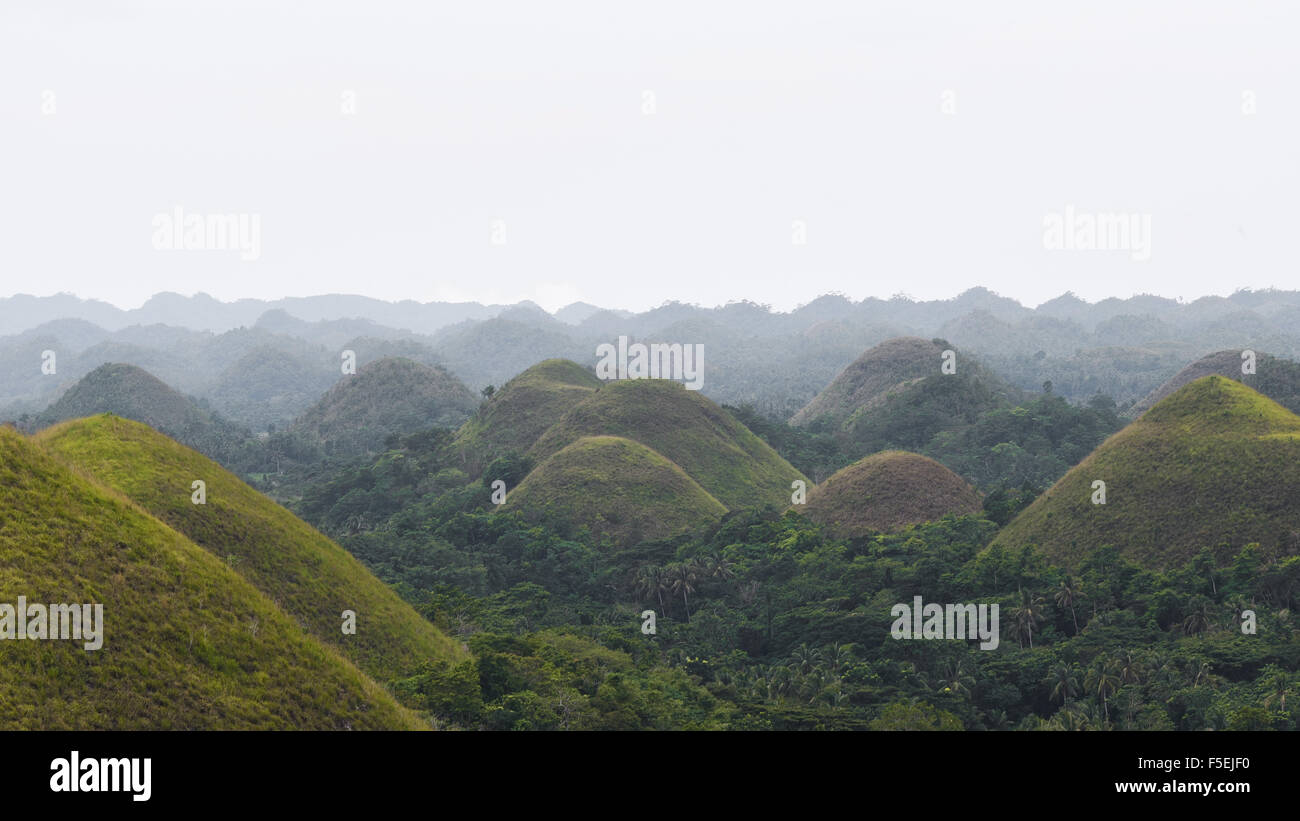 Chocolate Hills in mist, Bohol Island, Philippines Stock Photo - Alamy
