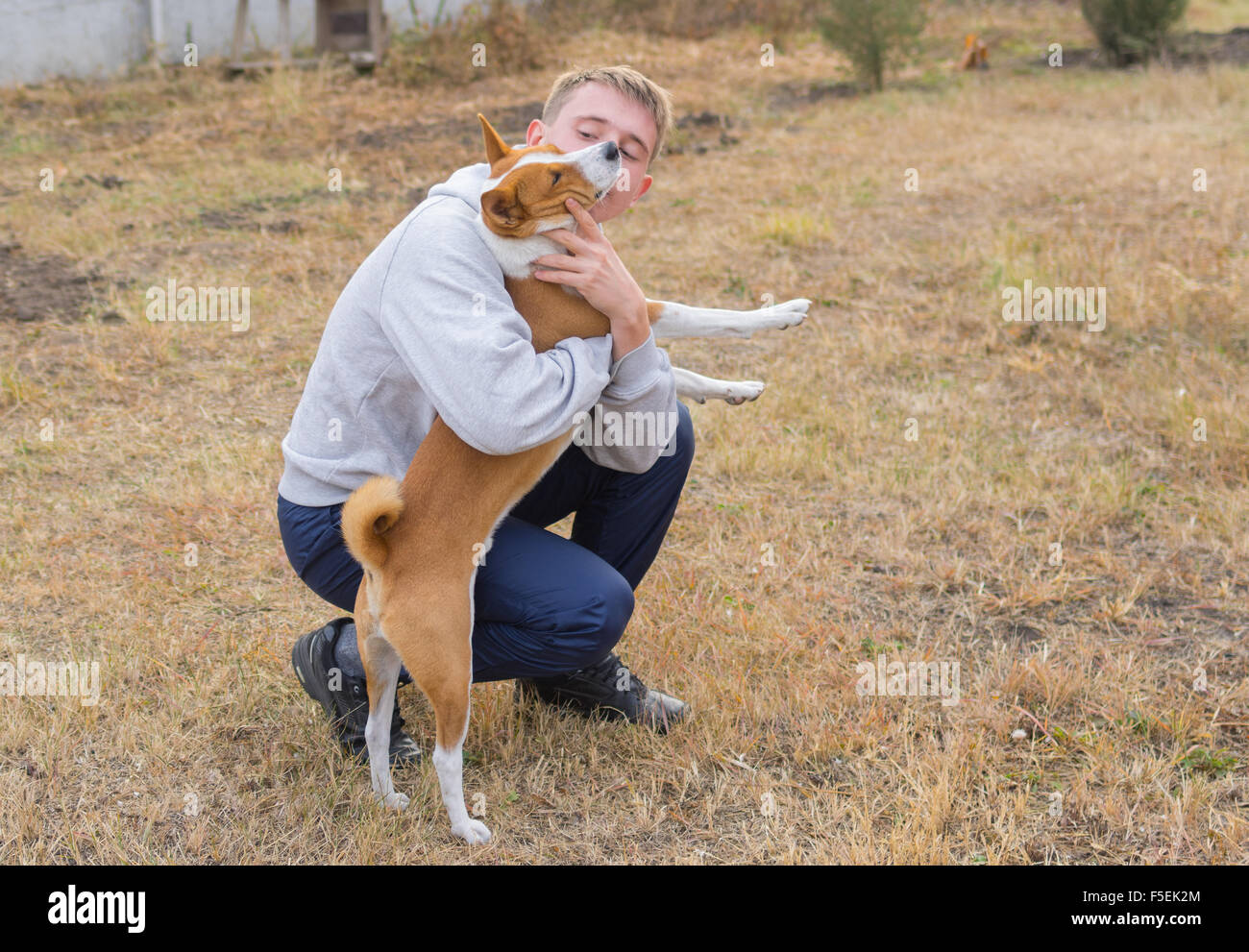 Boy and Basenji dog playing in the garden at fall season Stock Photo ...