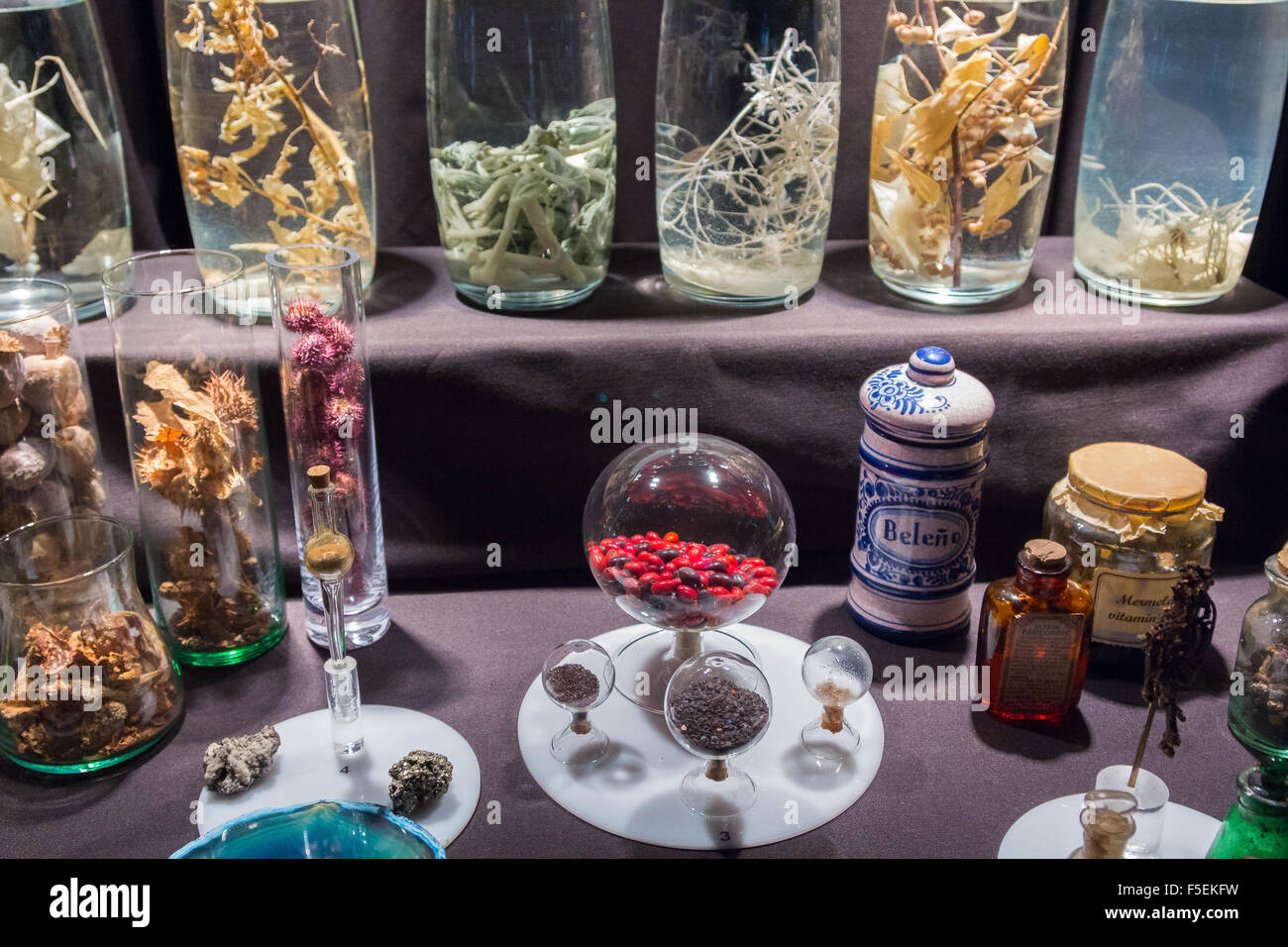 Snake bites hi-res stock photography and images - Alamy