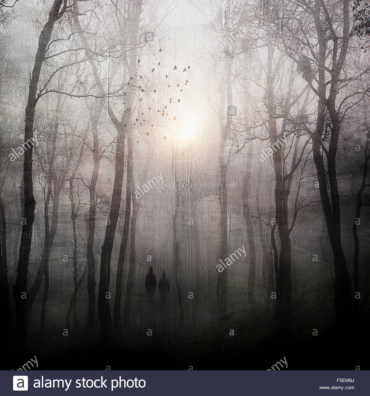 Spooky Woods Stock Photos & Spooky Woods Stock Images - Alamy