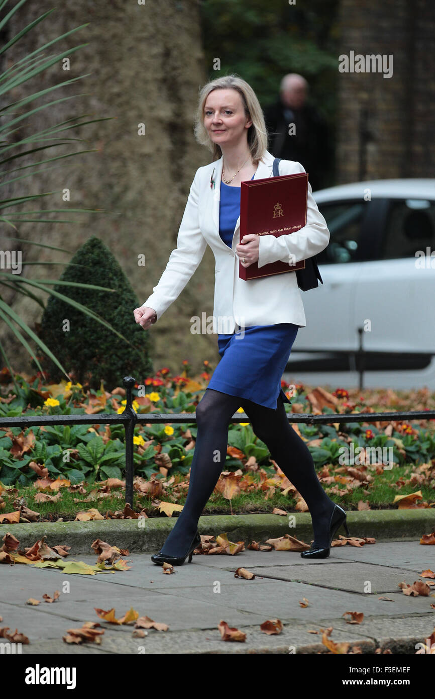 Environment secretary liz truss seen in downing street in london hi-res ...