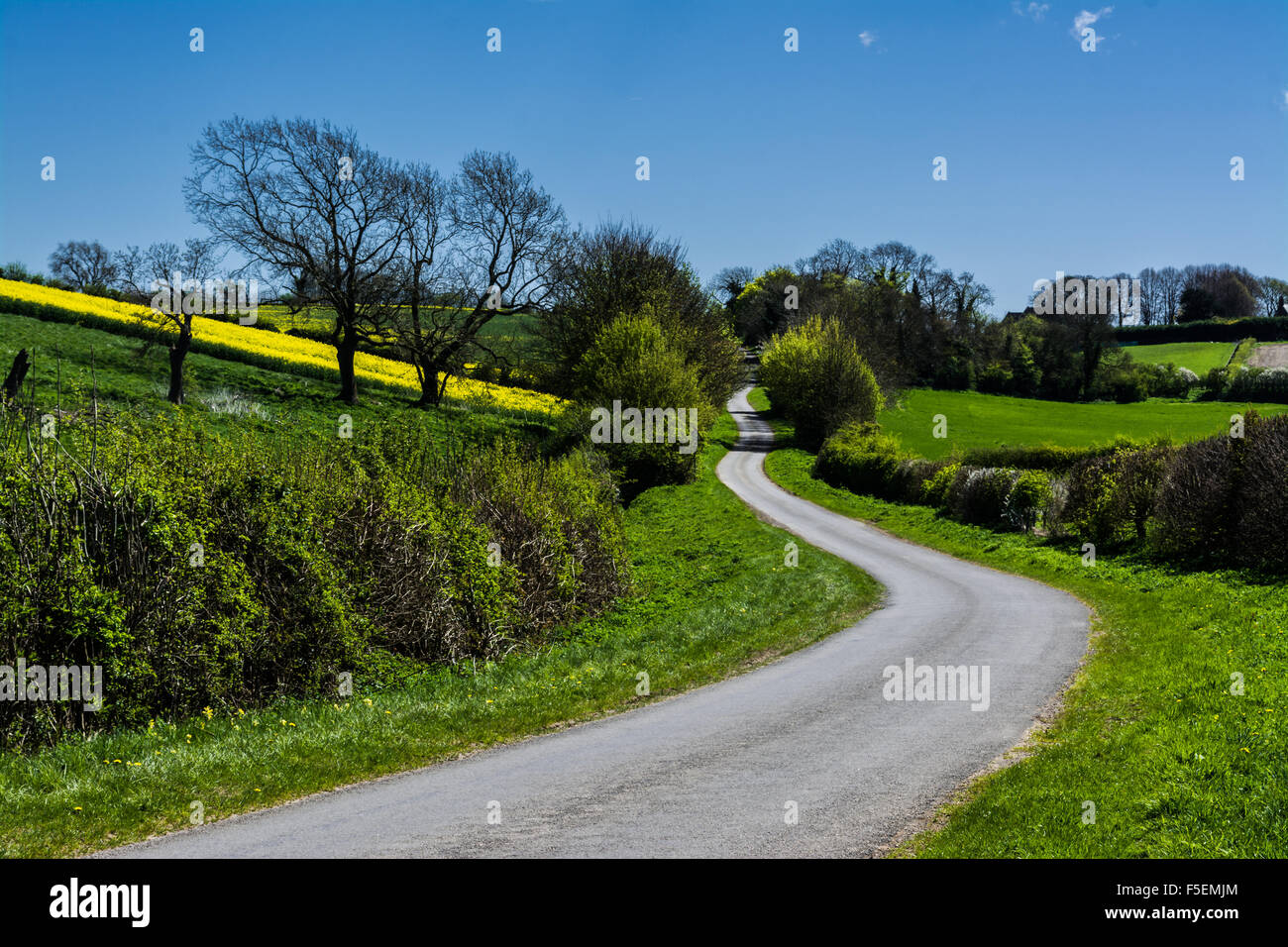 Country Lane in spring Stock Photo - Alamy