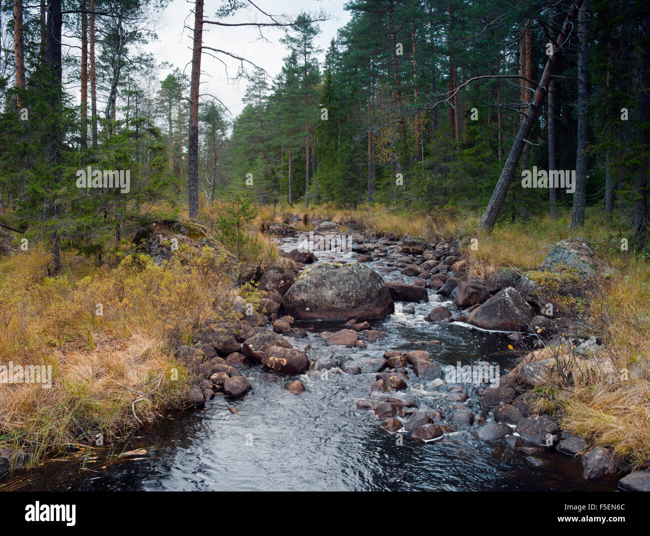 Rivulet hi-res stock photography and images - Alamy