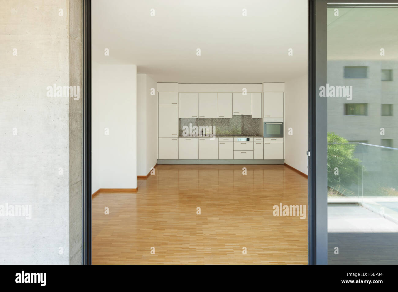 interior of an apartment, empty living room with kitchen Stock Photo ...