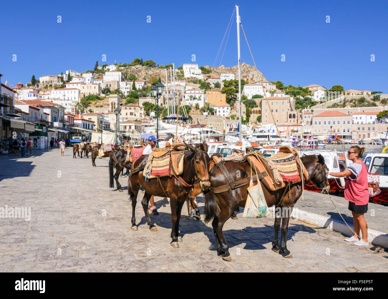 Donkeys along Hydra Town waterfront, Hydra Island, Greece Stock Photo ...