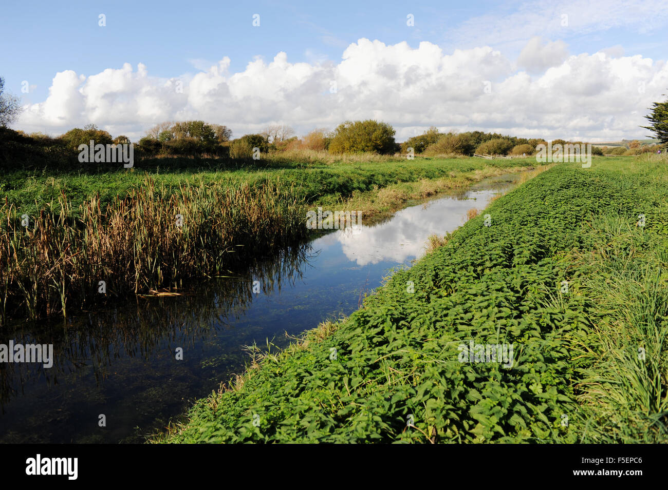 River rife hi-res stock photography and images - Alamy