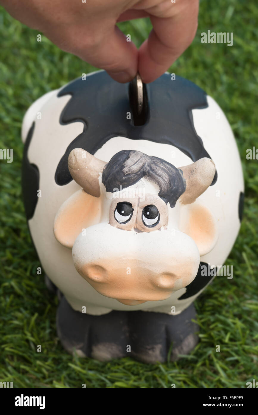 Coin in Money Cow Stock Photo - Alamy