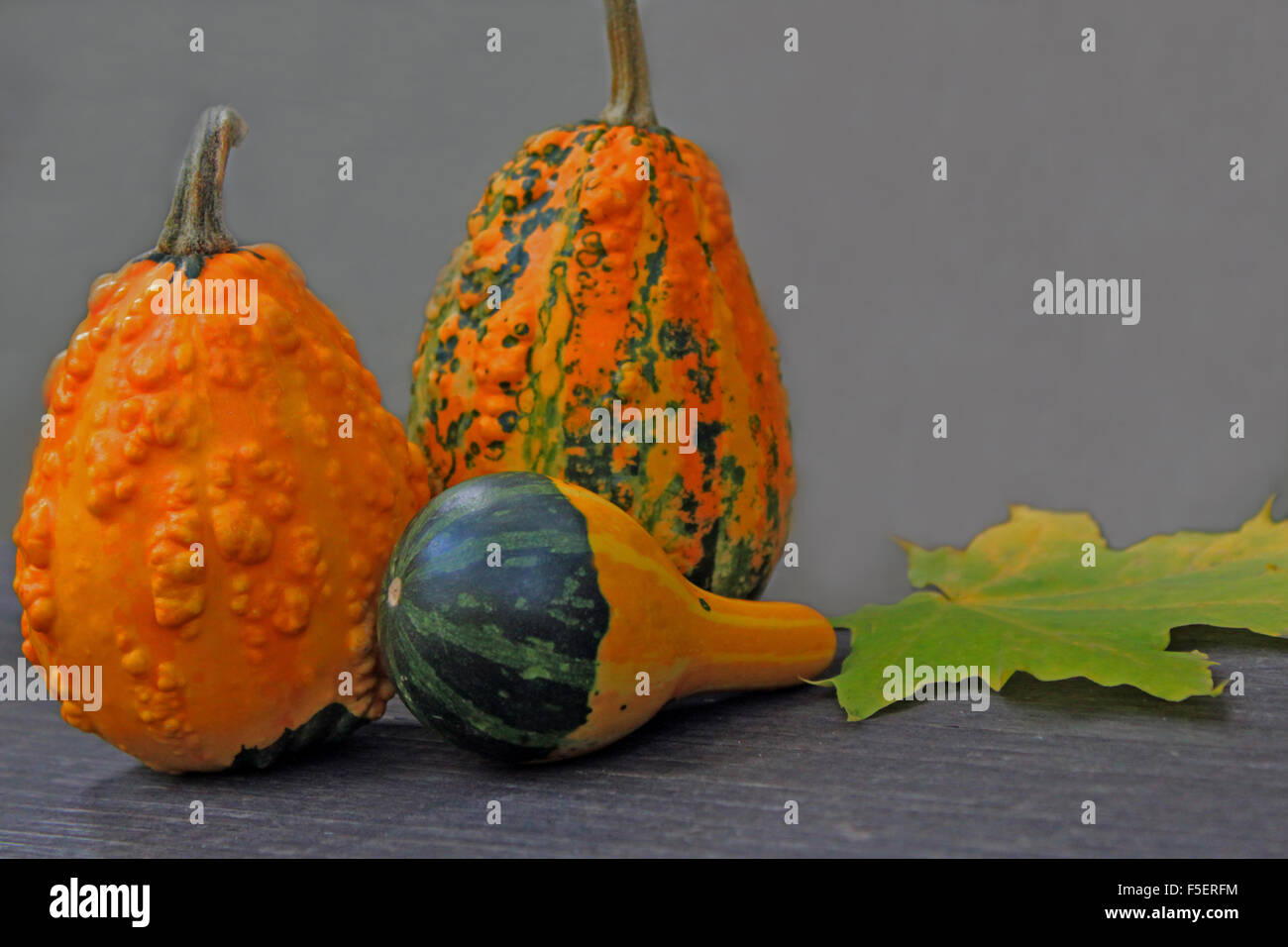 Fall still life mini hi-res stock photography and images - Alamy