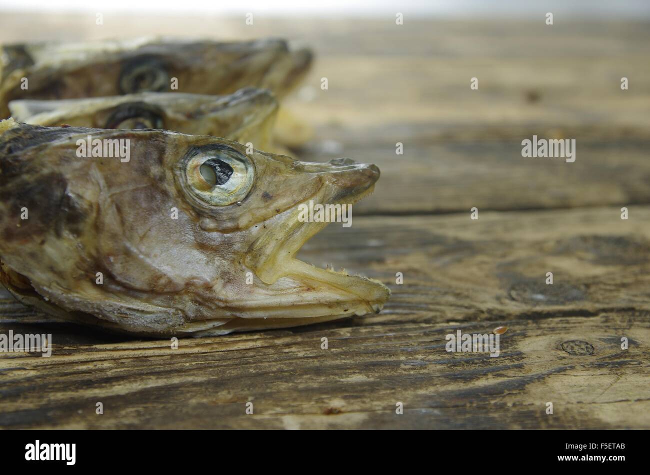 Lofoten dry cod hi-res stock photography and images - Alamy