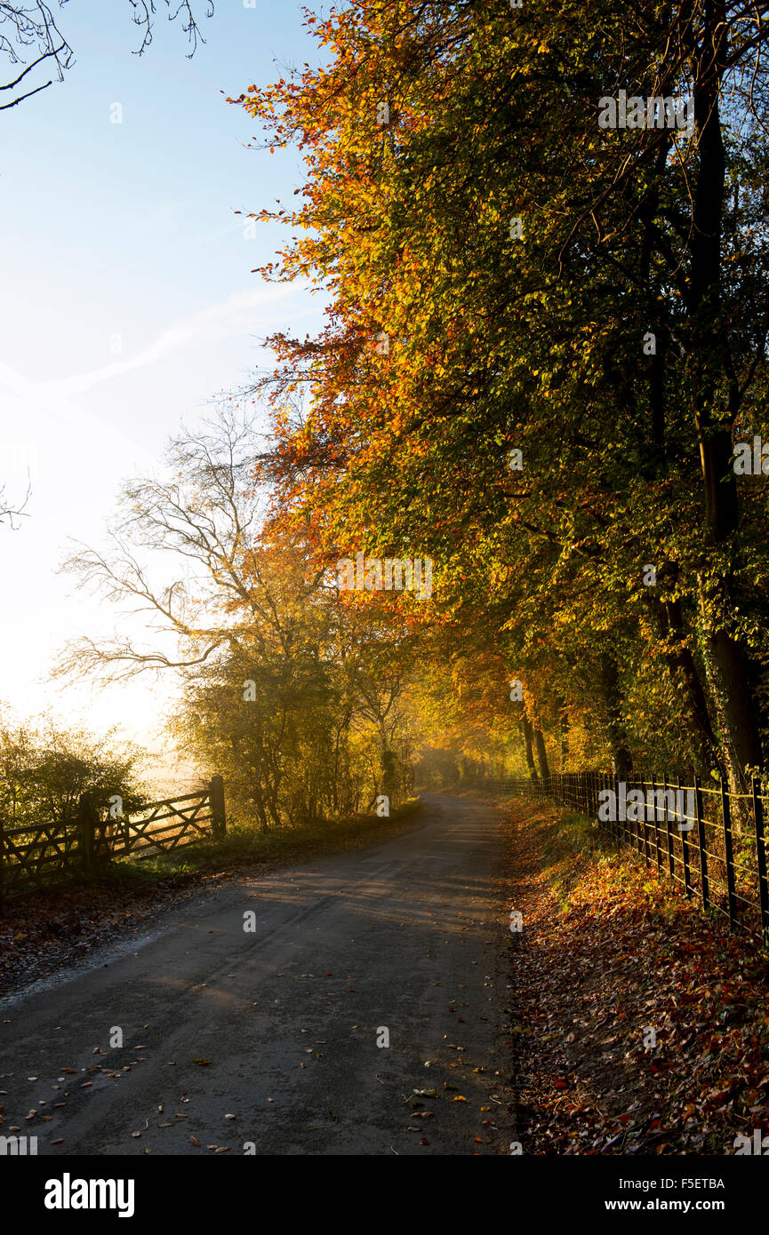 English scenic road hi-res stock photography and images - Alamy