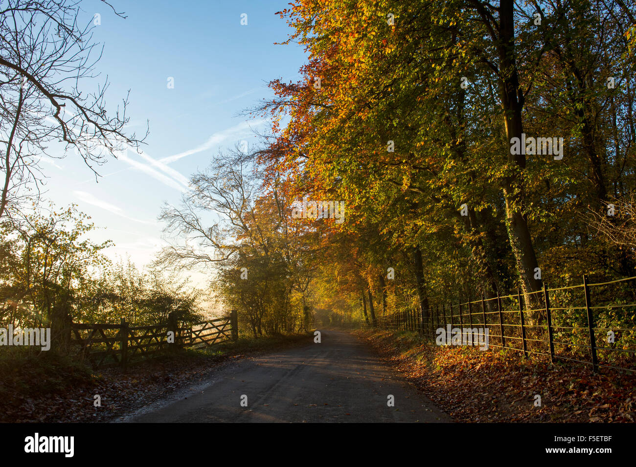 Autumn countryside in the cotswolds at sunrise. Gloucestershire ...