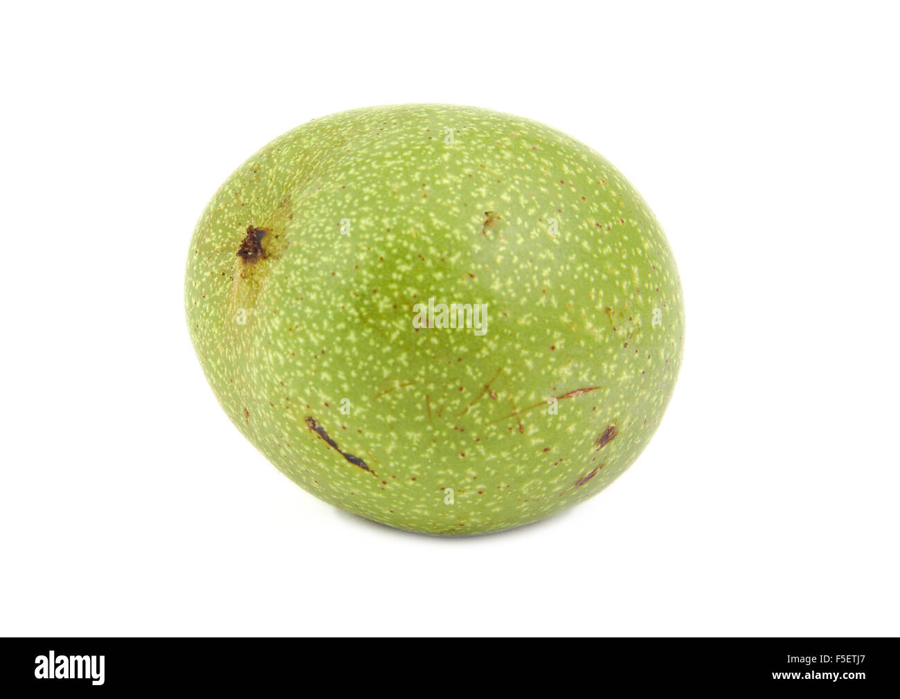 Walnut on branch cracked green hi-res stock photography and images - Alamy