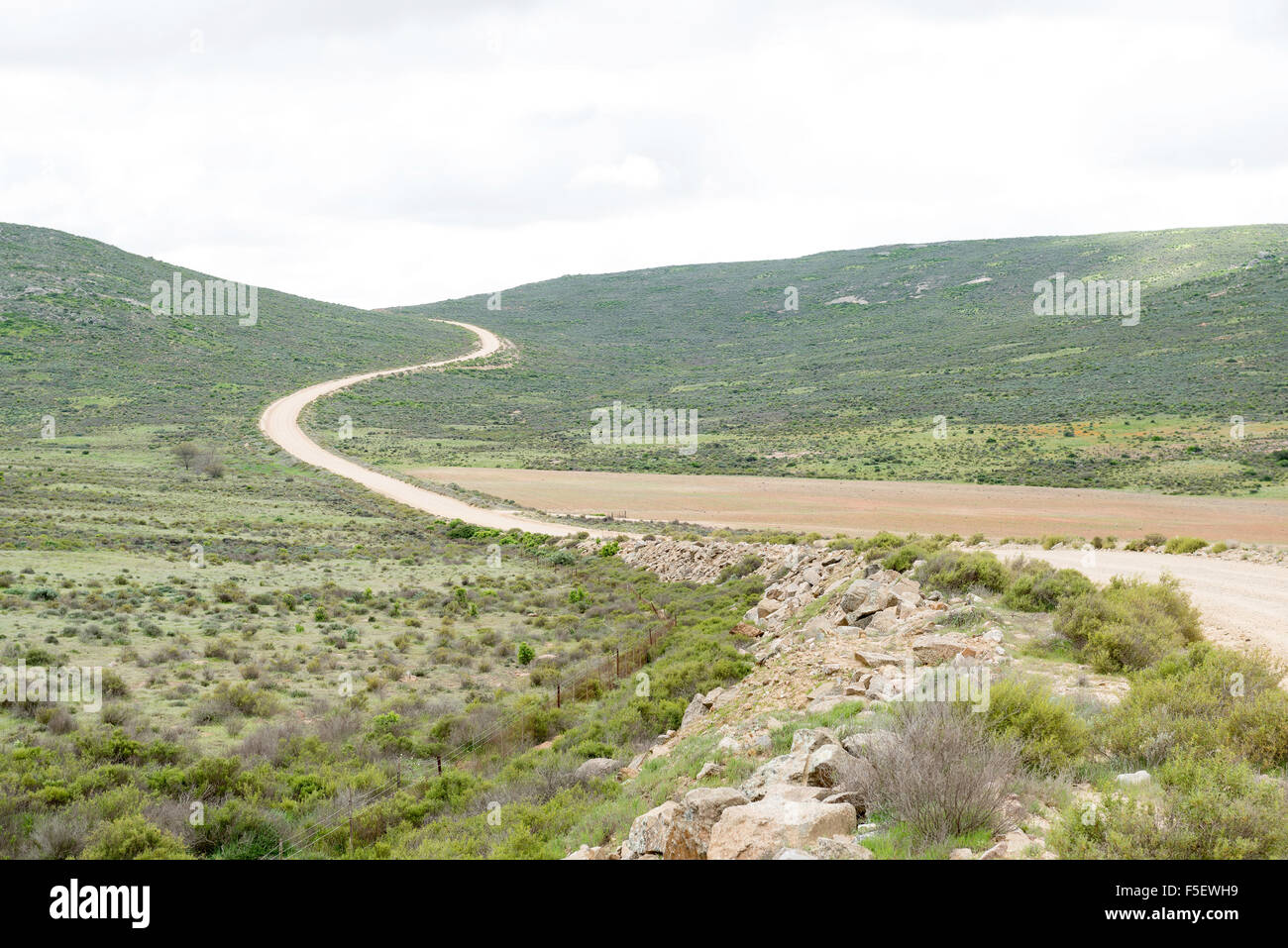 The road between Lutzville and Nuwerus in the Western Cape Province of ...