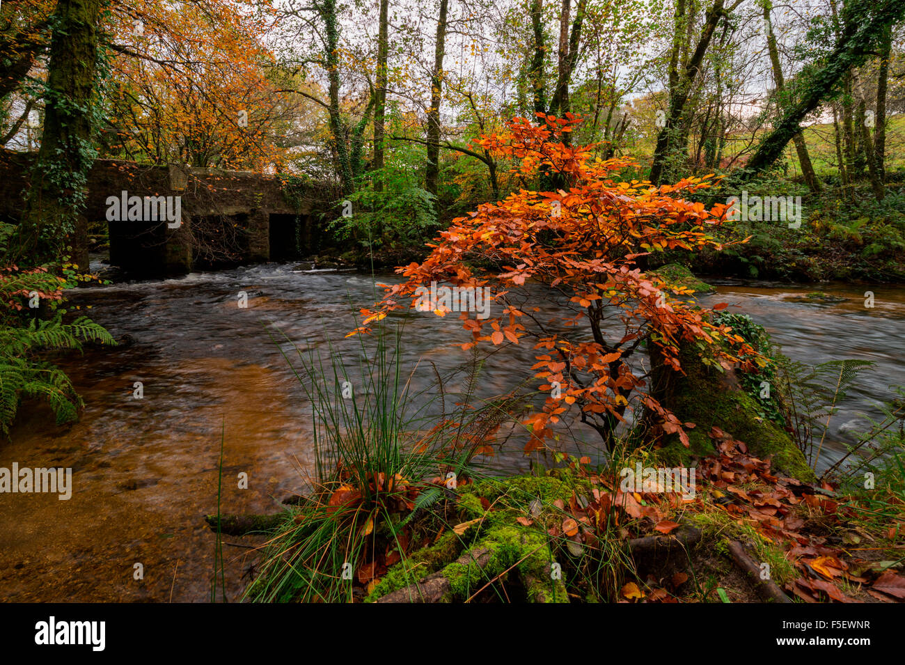 Cornwall river bridge autumn hi-res stock photography and images - Alamy