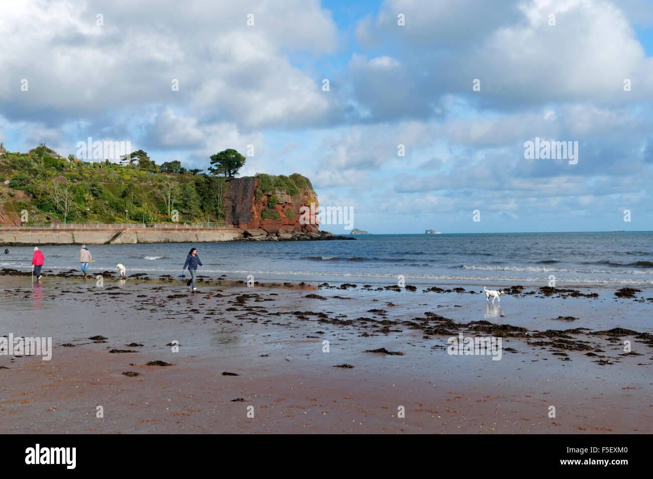 Goodrington Sands, Paignton, South Devon, England Stock Photo - Alamy