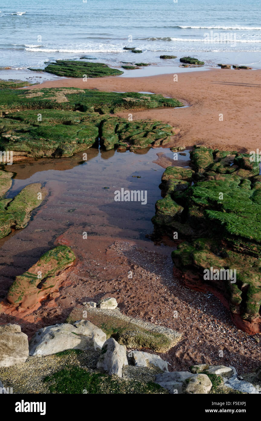 Rock Pools, Preston Sands, Paignton, Tor Bay, Devon, England Stock ...