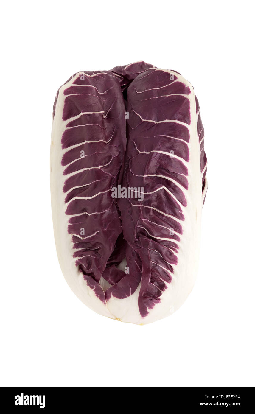Radicchio Treviso red chicory isolated on white background 255 255 255 ...