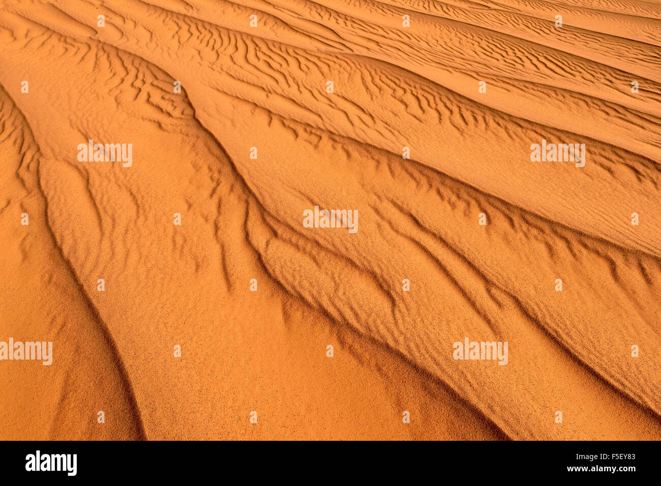Sand ripples, texture on a sanddune, Tassili n´ Ajjer, Algeria, Sahara ...