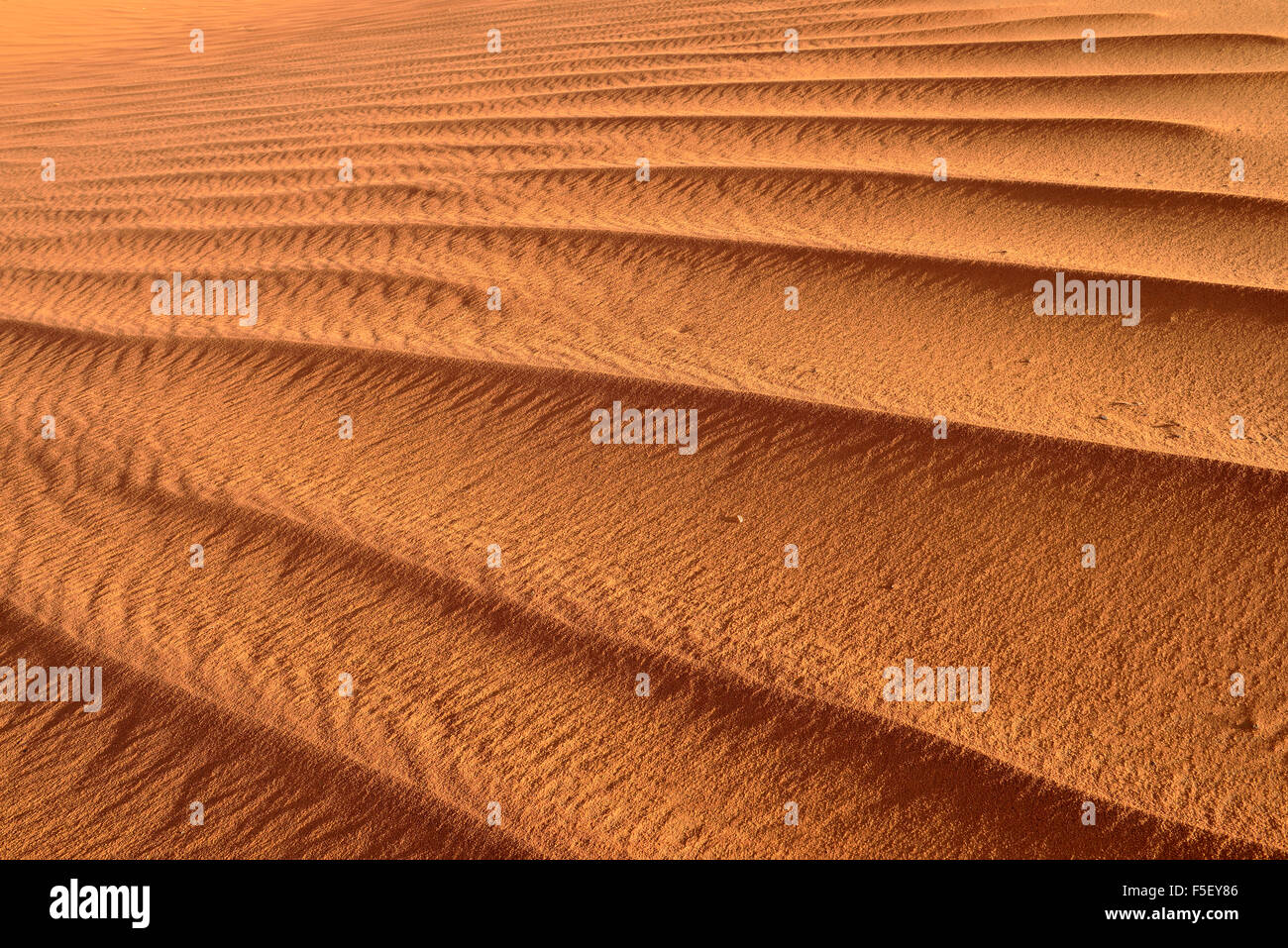 Sand ripples, texture on a sanddune, Tassili n´ Ajjer, Algeria, Sahara ...